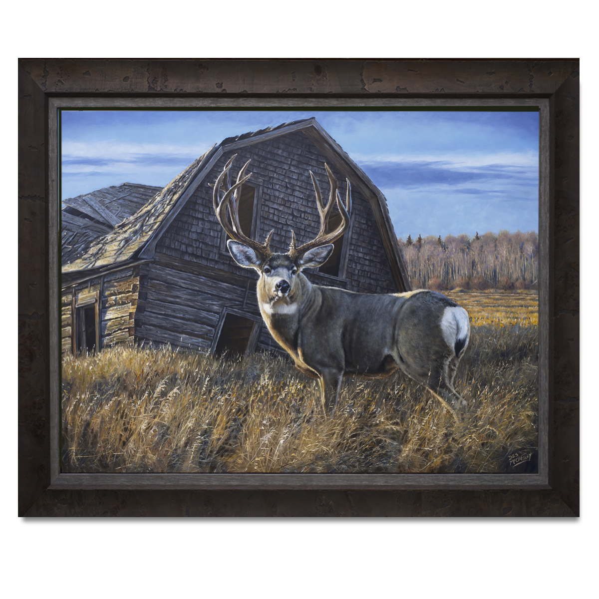 DOWN HOME OUT WEST SOLD