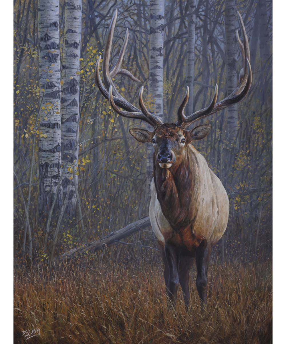 HIS EXCELLENCE (original oil) $12,228.00