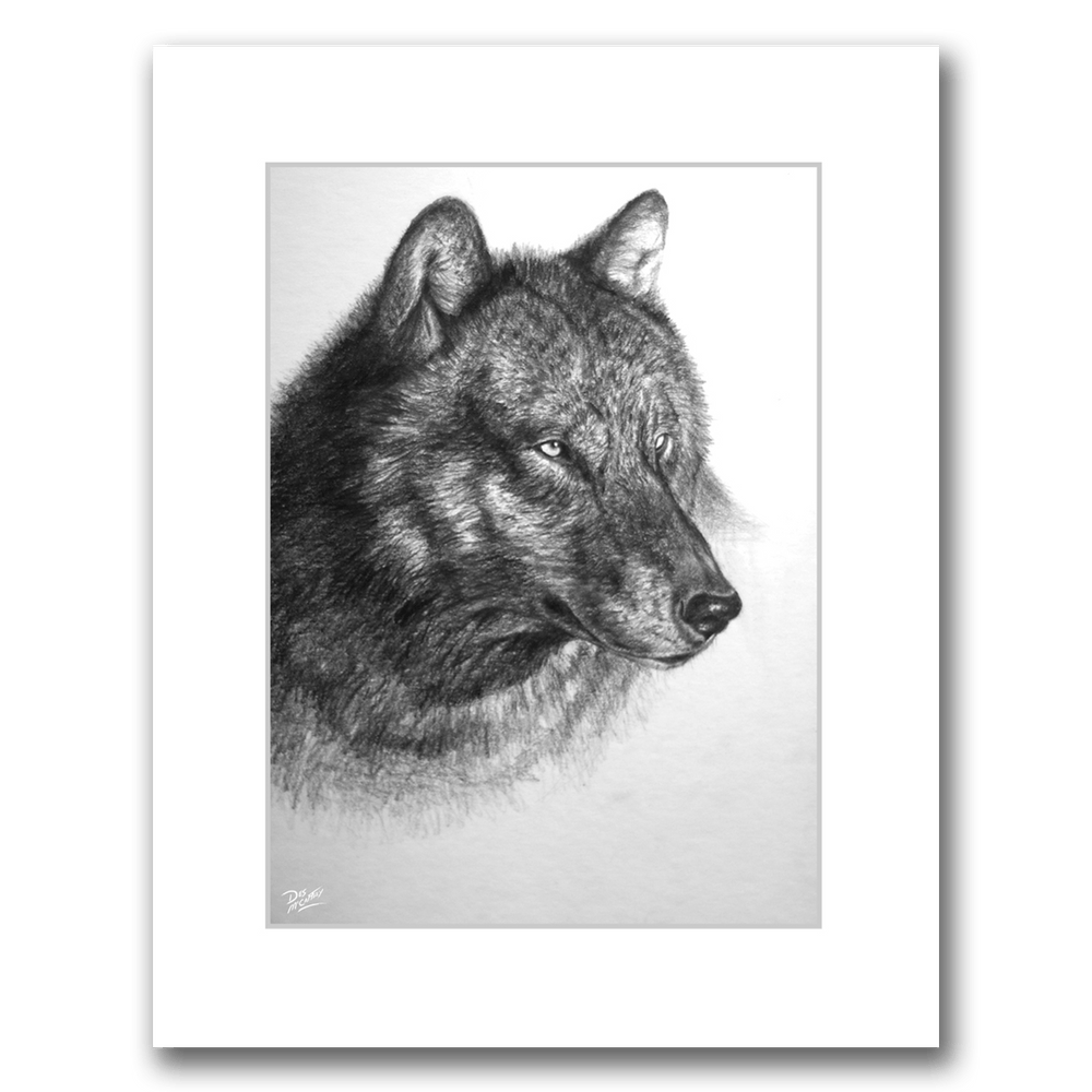 BLACK/GREY WOLF PORTRAIT $49.00